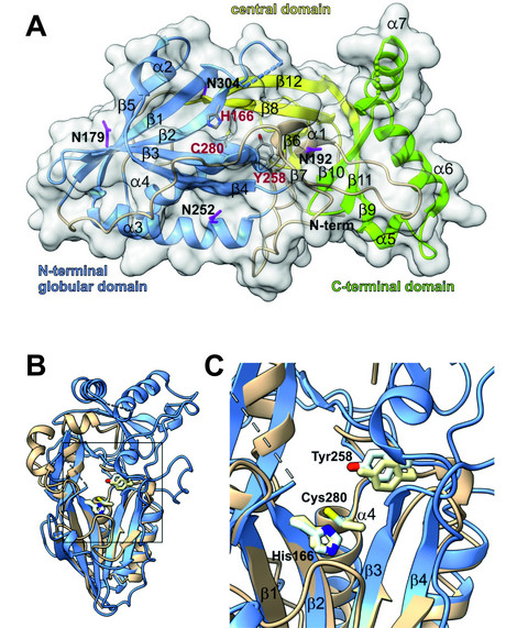 Neurometabolic and Neurodegenerative Diseases